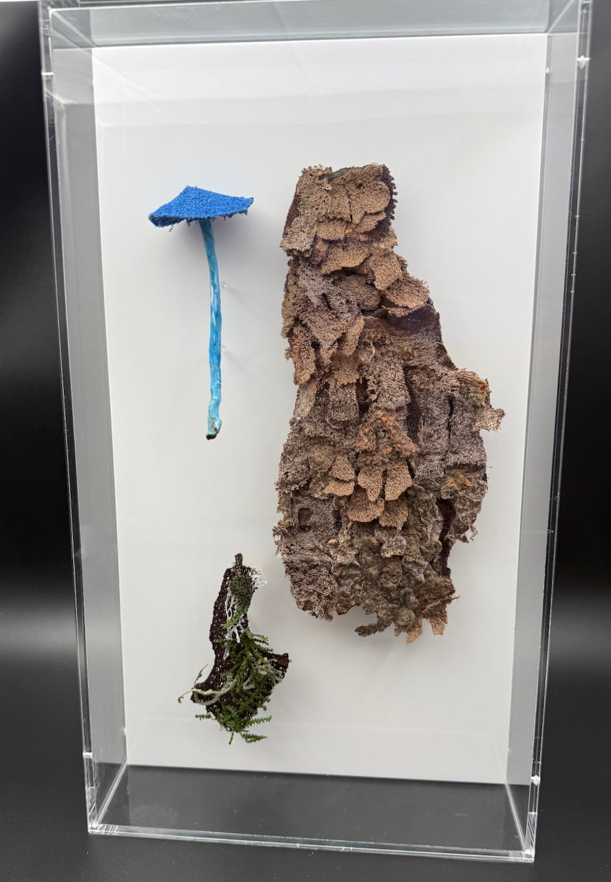 Cabbage tree bark, lichen & fungi 3D Thread Sculpture. – Cathy Jane Designs