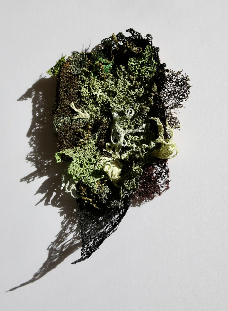 Home | Sculptural & Embroidered NZ Art | Cathy Jane Designs