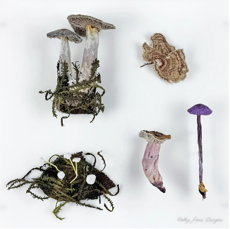 About | Award-Winning NZ Artist | Cathy Jane Designs